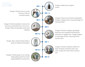 The Metamorphosis Study Guide: Visualizing Key Concepts with Infographics