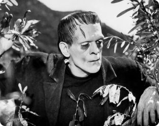 Frankenstein Infographics: Visualizing Key Concepts in Mary Shelley's Novel