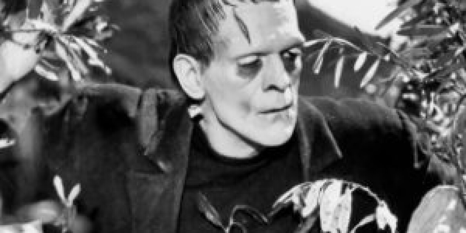 Frankenstein Infographics: Visualizing Key Concepts in Mary Shelley's Novel