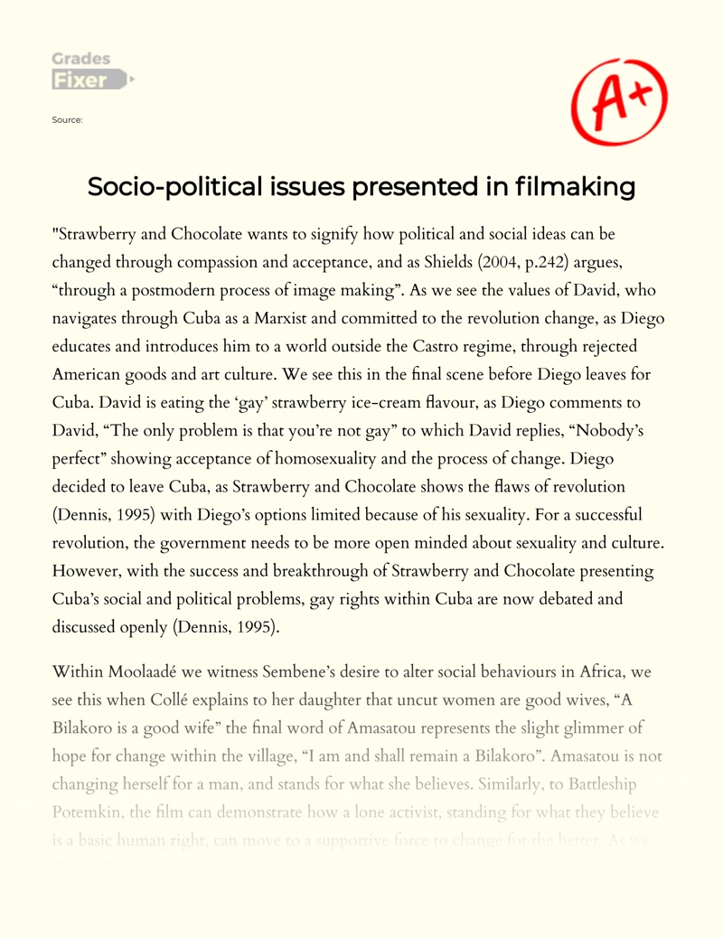 Socio political Issues Presented In Filmaking Essay Example 572